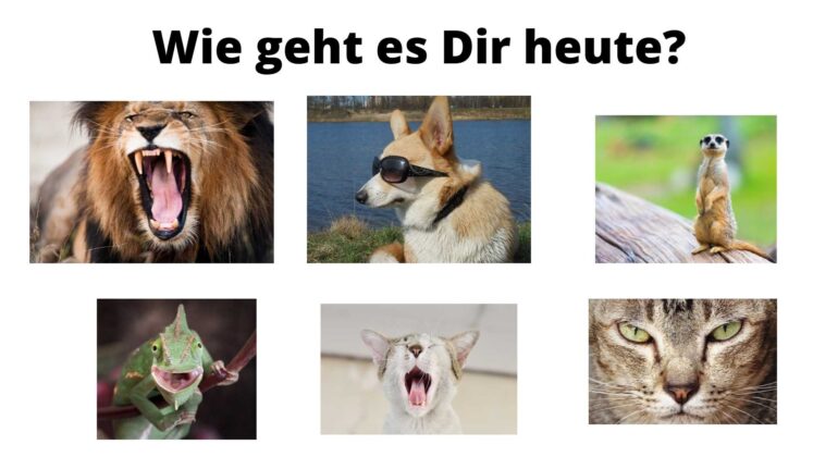 Einfache Methoden zur Stimmungsabfrage in Meetings - Der Meeting Guru